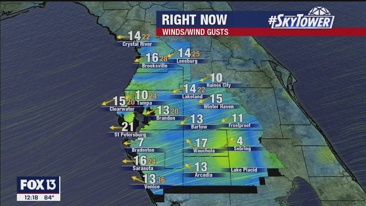 Monday afternoon weathercast | FOX 13 Tampa Bay