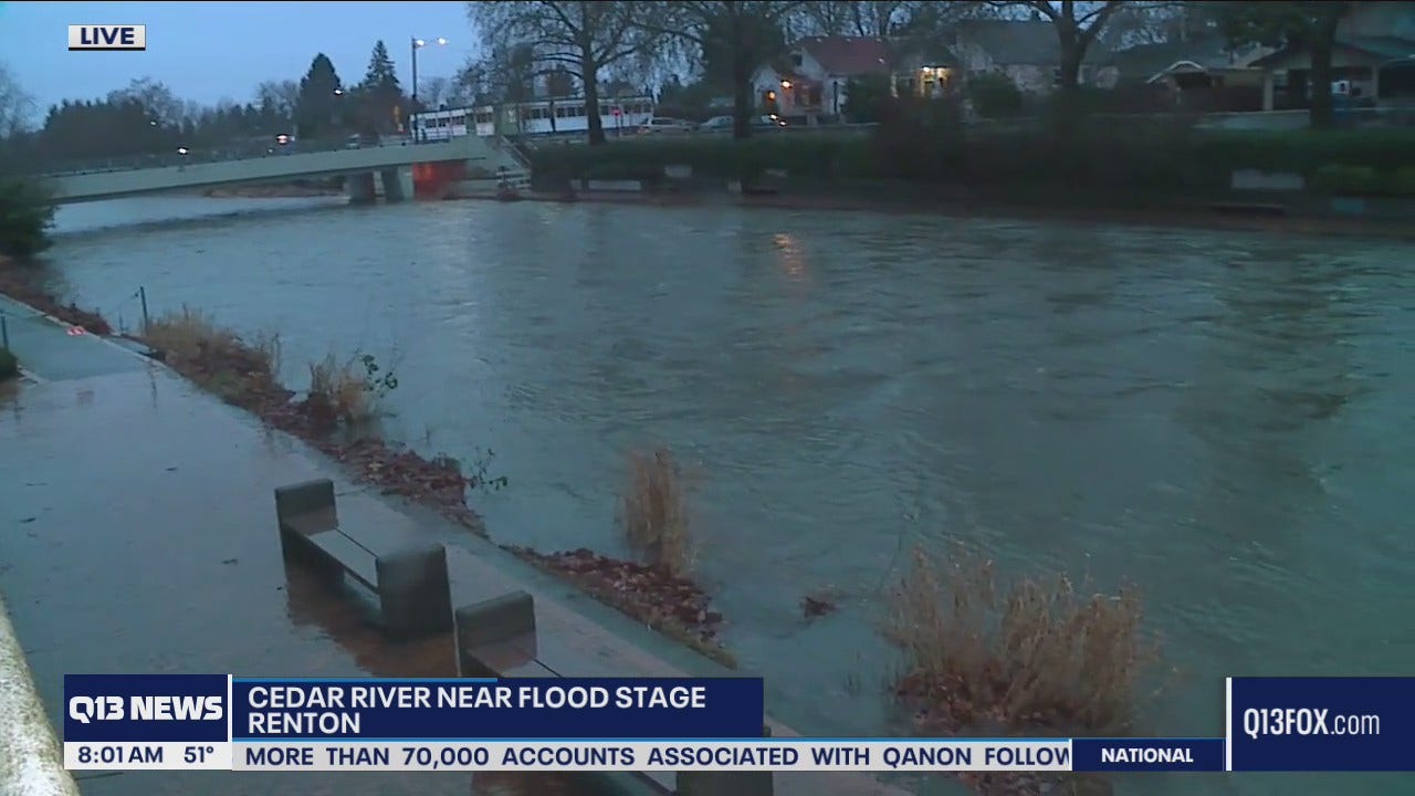 Cedar River in Renton near flood stage