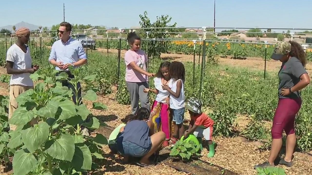 Project Roots AZ celebrates Plant a Vegetable Garden Day | FOX 10 Phoenix