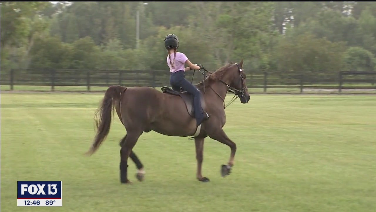 Summer camps available at Avalon Stables | FOX 13 Tampa Bay
