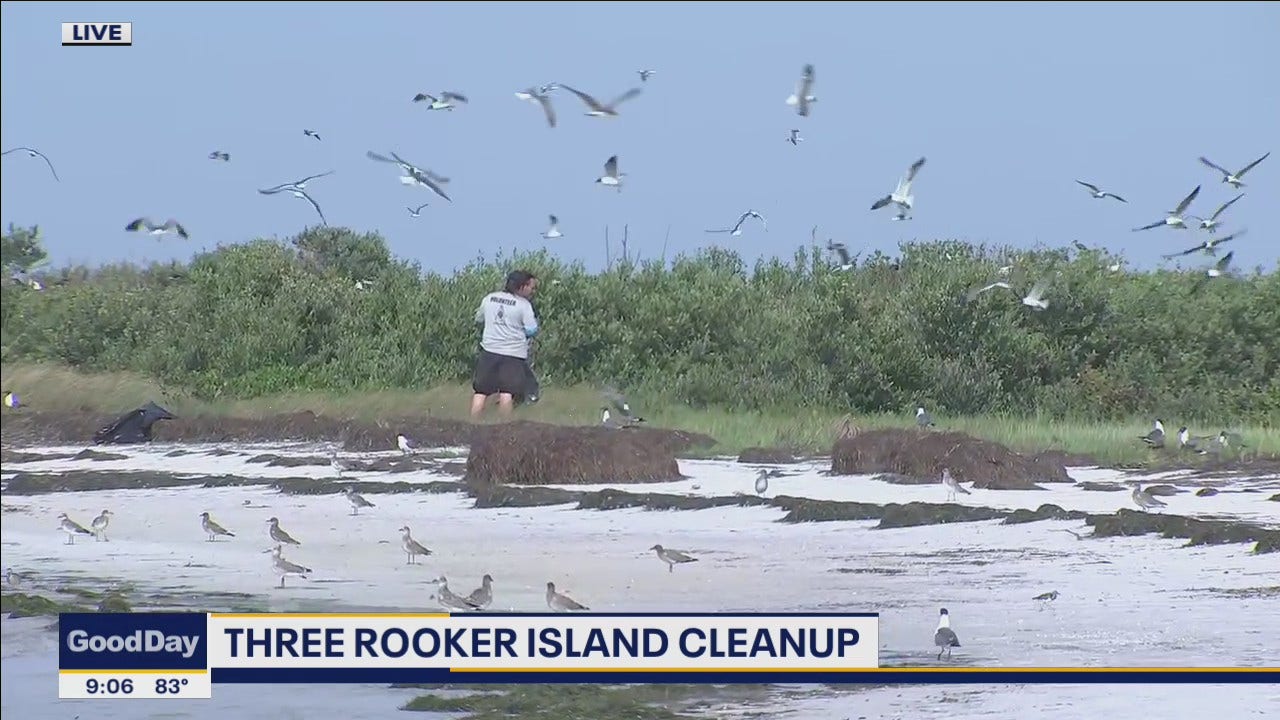 Three Rooker Island Beach clean up | FOX 13 Tampa Bay