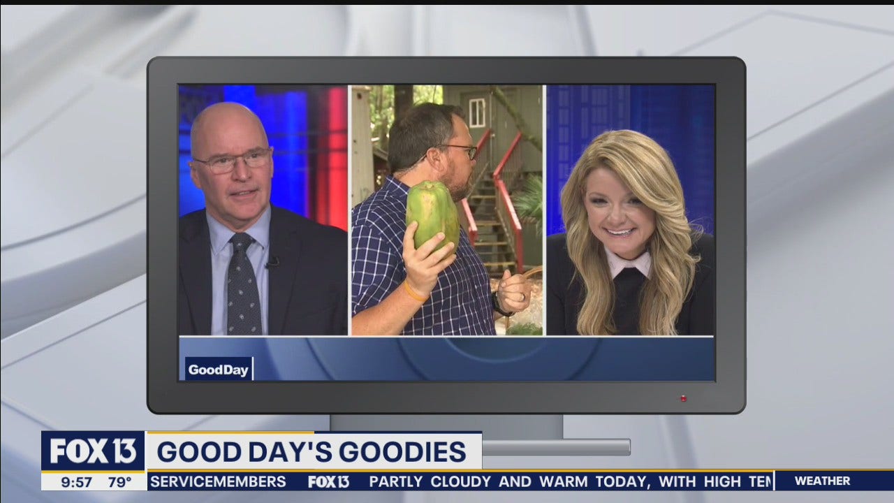 Good Day Goodies: Nov. 13, 2020 | FOX 13 Tampa Bay