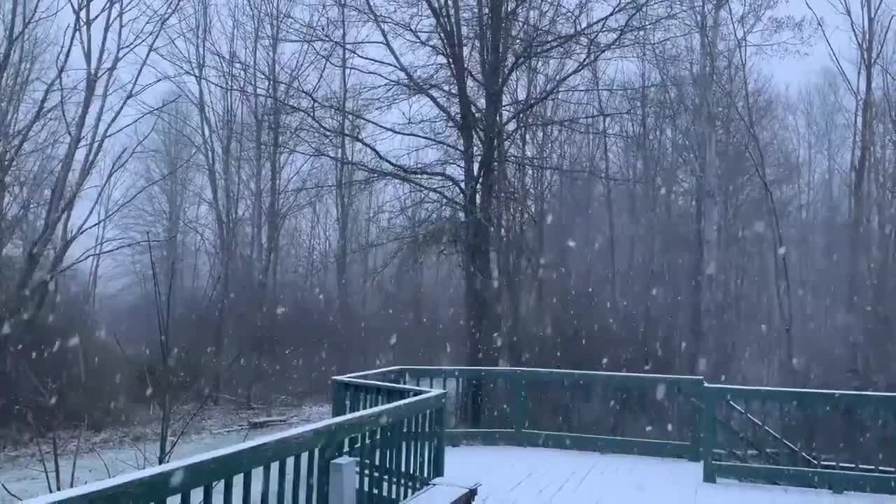 Residents of northeast Ohio wake up to April Fools Day snow | LiveNOW ...