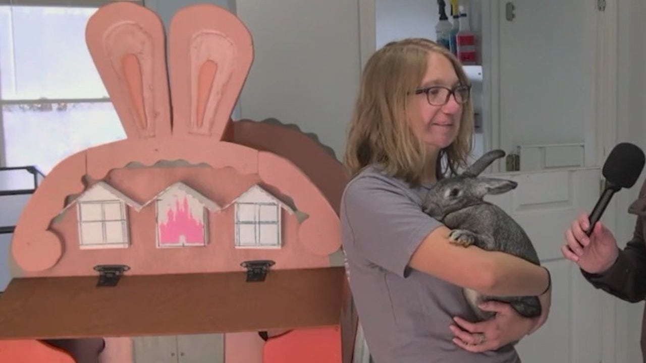 Georgia rabbit shelter gets a Zootopia 2-themed donation | FOX 5 Atlanta