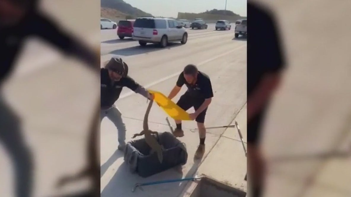 DIY your very own ‘Masked Singer’ Halloween costume with this step-by ...