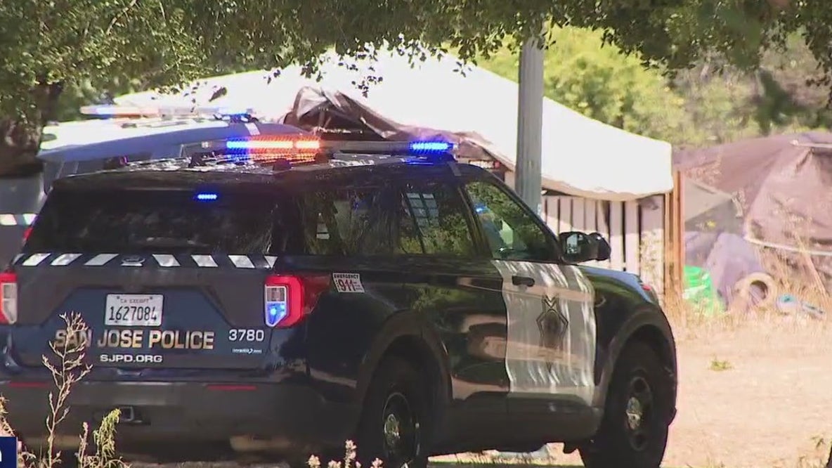 Whale remains spotted at SF's Crissy Field | KTVU FOX 2