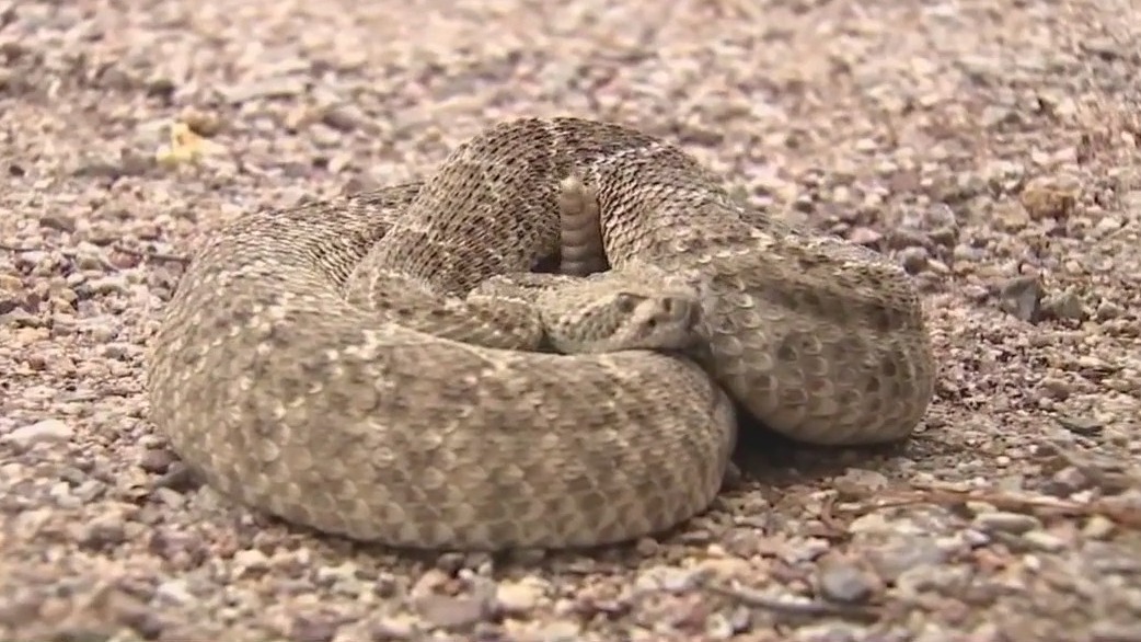 Nathan Larson, admitted pedophilia advocate who once ran for political ...