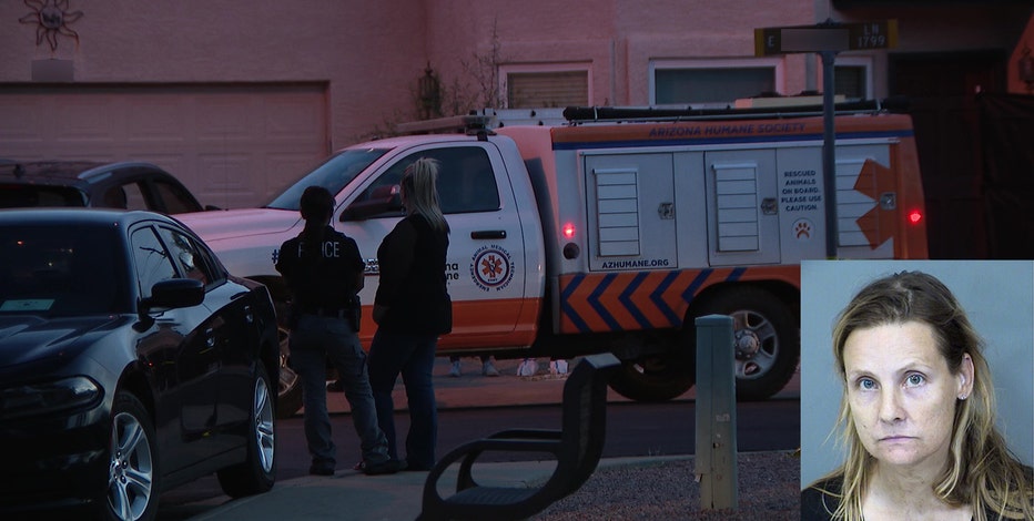 The latest on the Chandler animal abuse investigation: What’s next for ...
