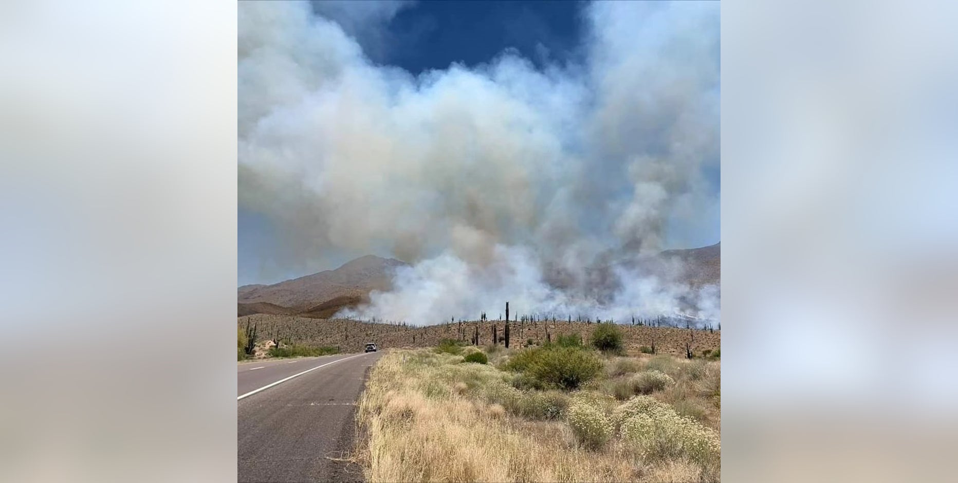 Arizona wildfires 2024: What to know about the fires burning in the ...