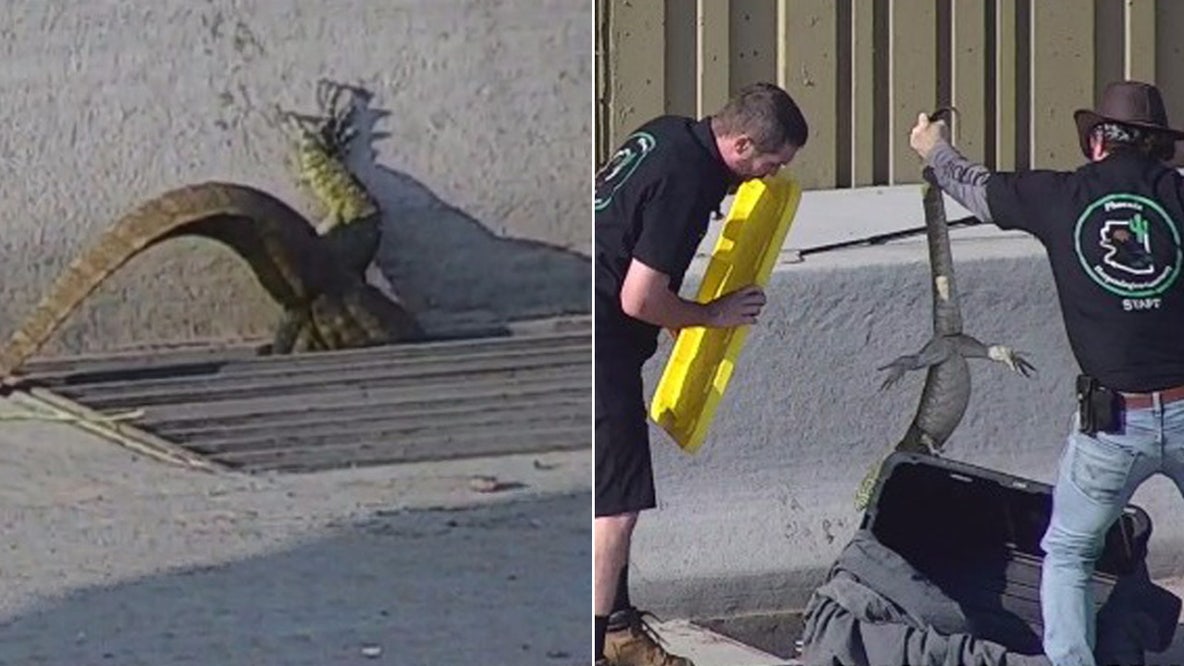 DIY your very own ‘Masked Singer’ Halloween costume with this step-by ...