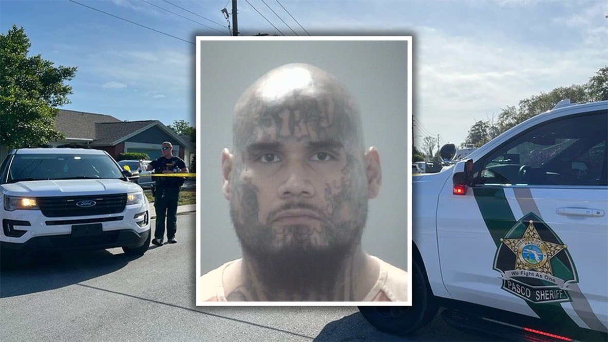 Serial Bank Robbery Suspect Under Arrest