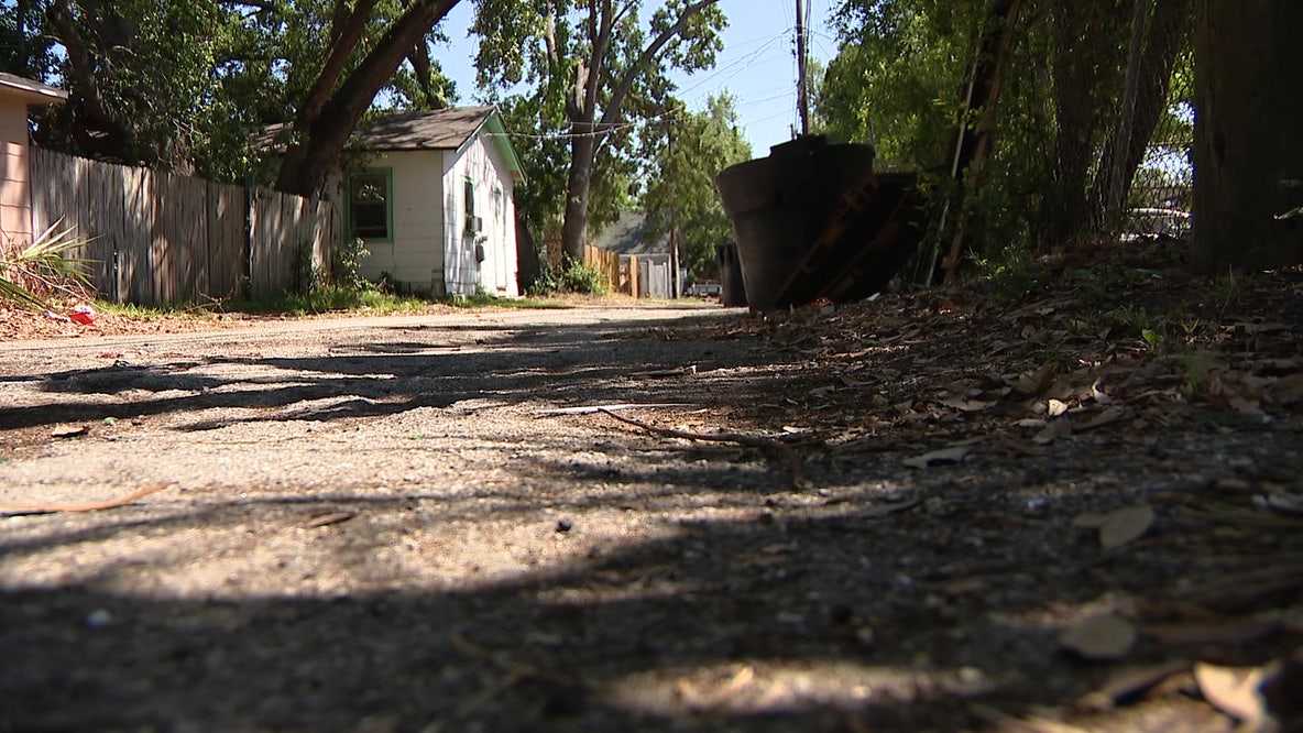 85-year-old Florida woman killed by alligator was 'forced' to walk dog ...