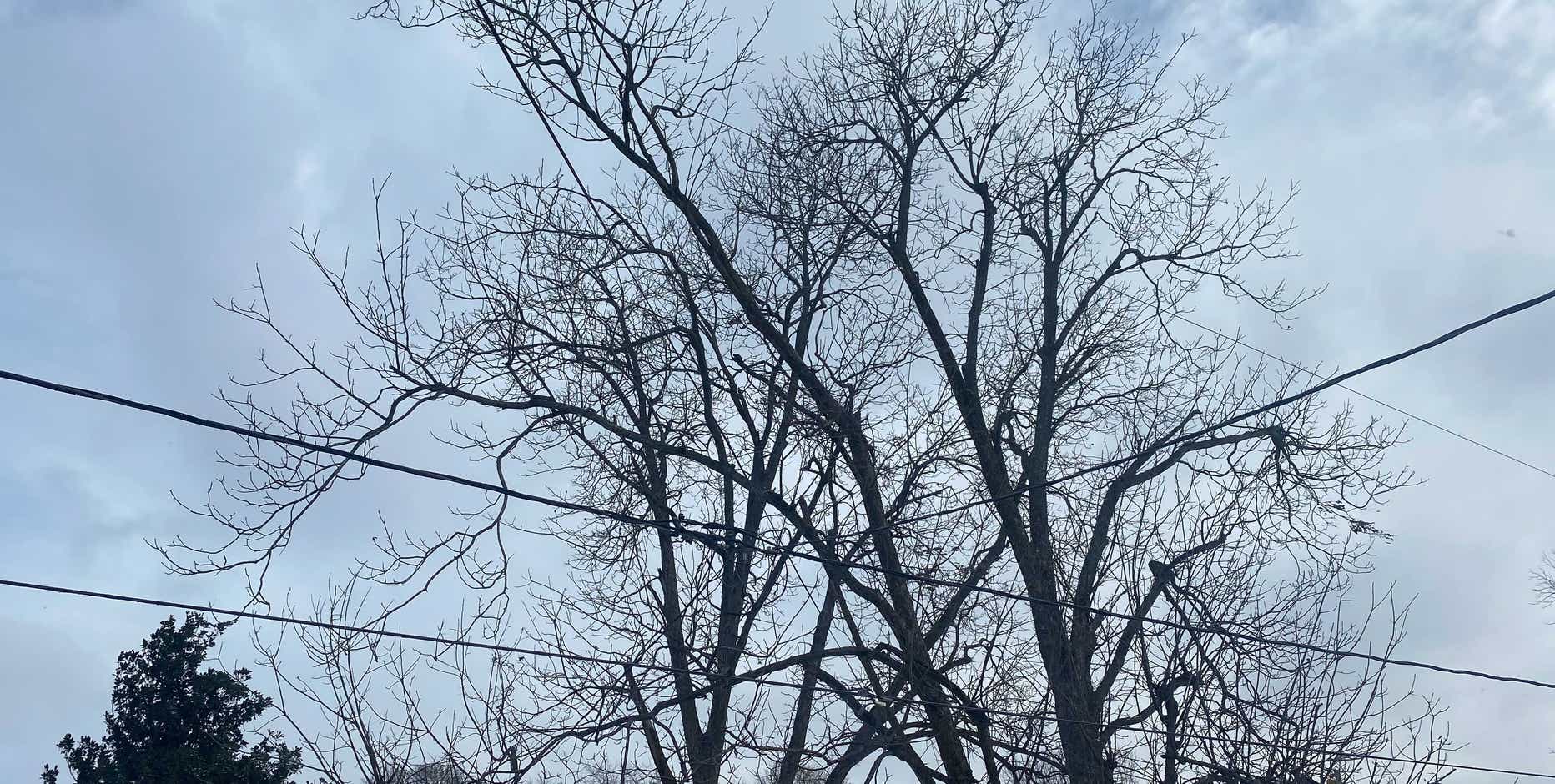 How To Stay Warm And Safe During A Winter Storm Power Outage