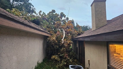 News | FOX 51 Gainesville