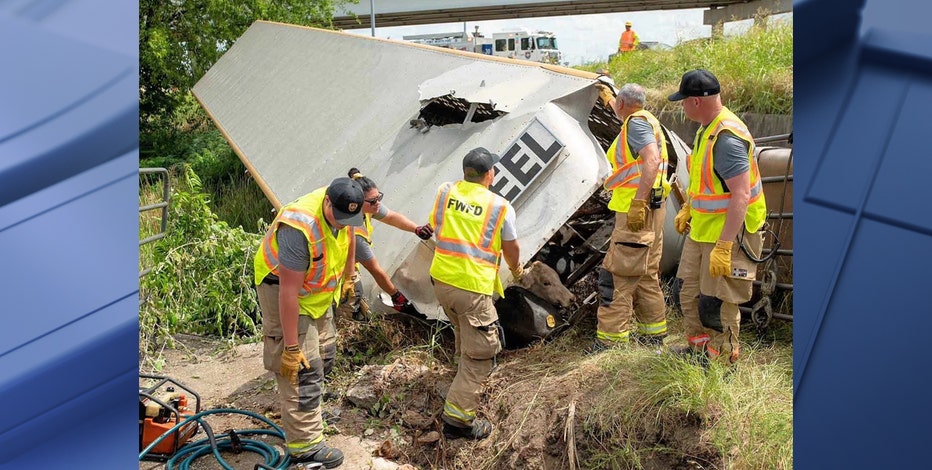 Texas authorities investigate cases of dead, mutilated cows