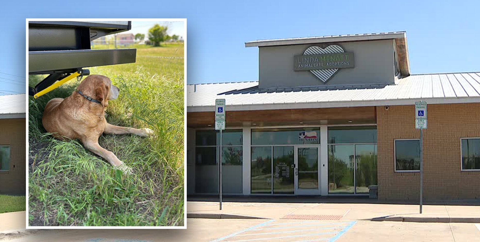 Denton Animal Services manager fired after family's dog euthanized ...