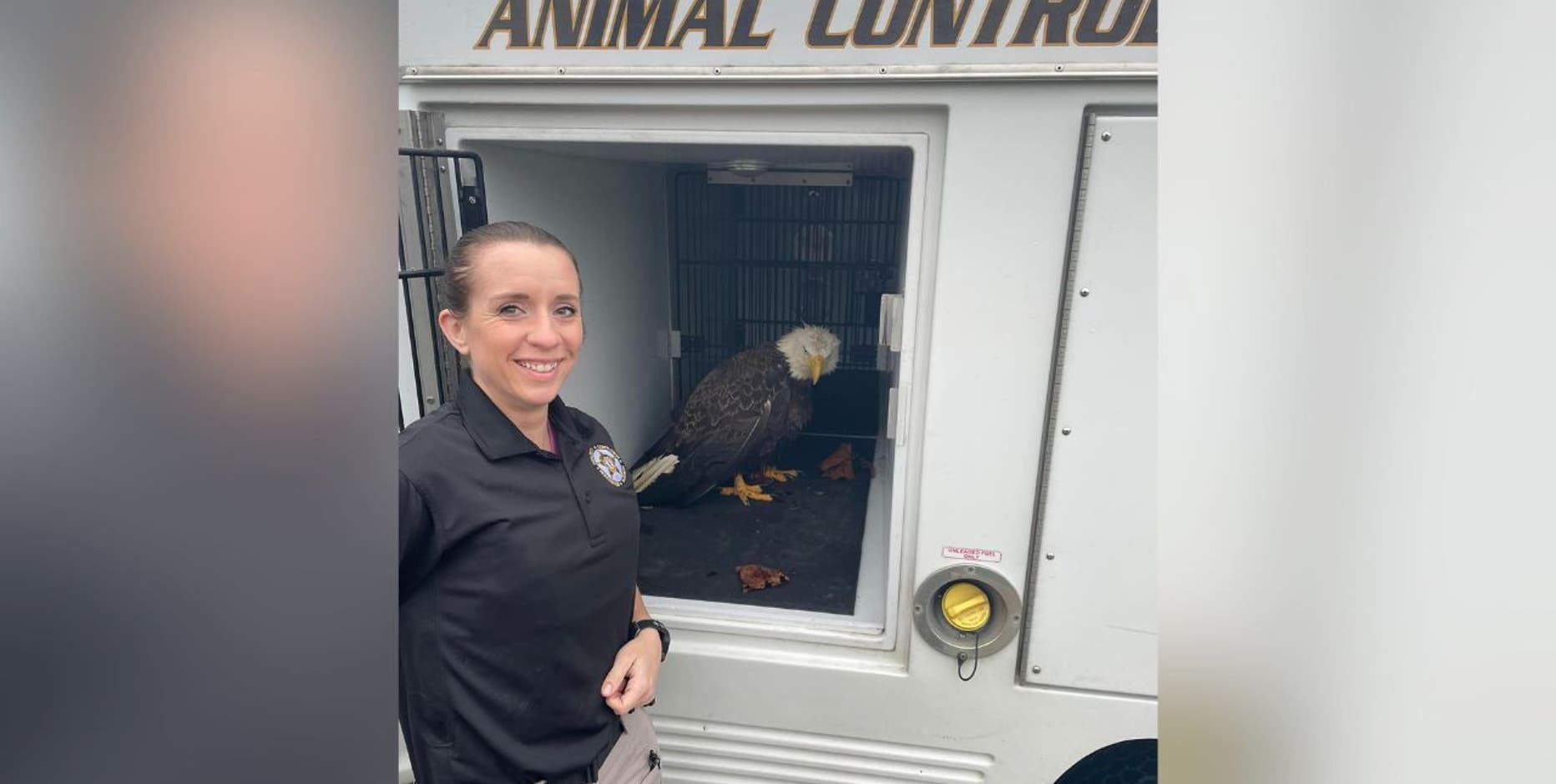 Baby bald eagle born on Dulles Greenway, more eggs expected to hatch ...