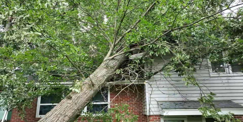 'Several long track tornadoes' hit Maryland, Virginia: preliminary NWS ...