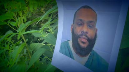 Local Milwaukee News | Live Breaking News from WITI FOX6