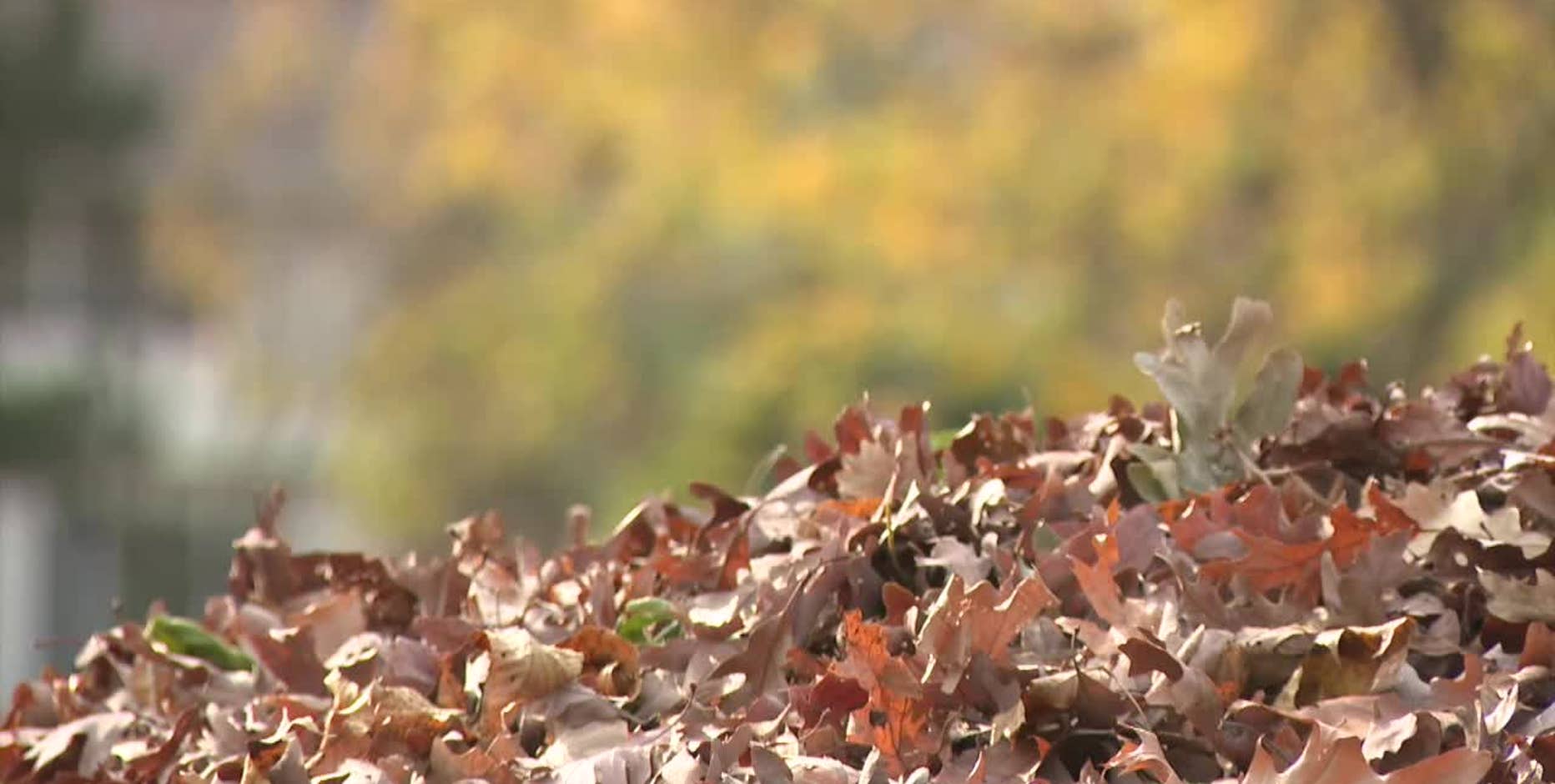Milwaukee fall leaf collection, crews working through final cycle ...