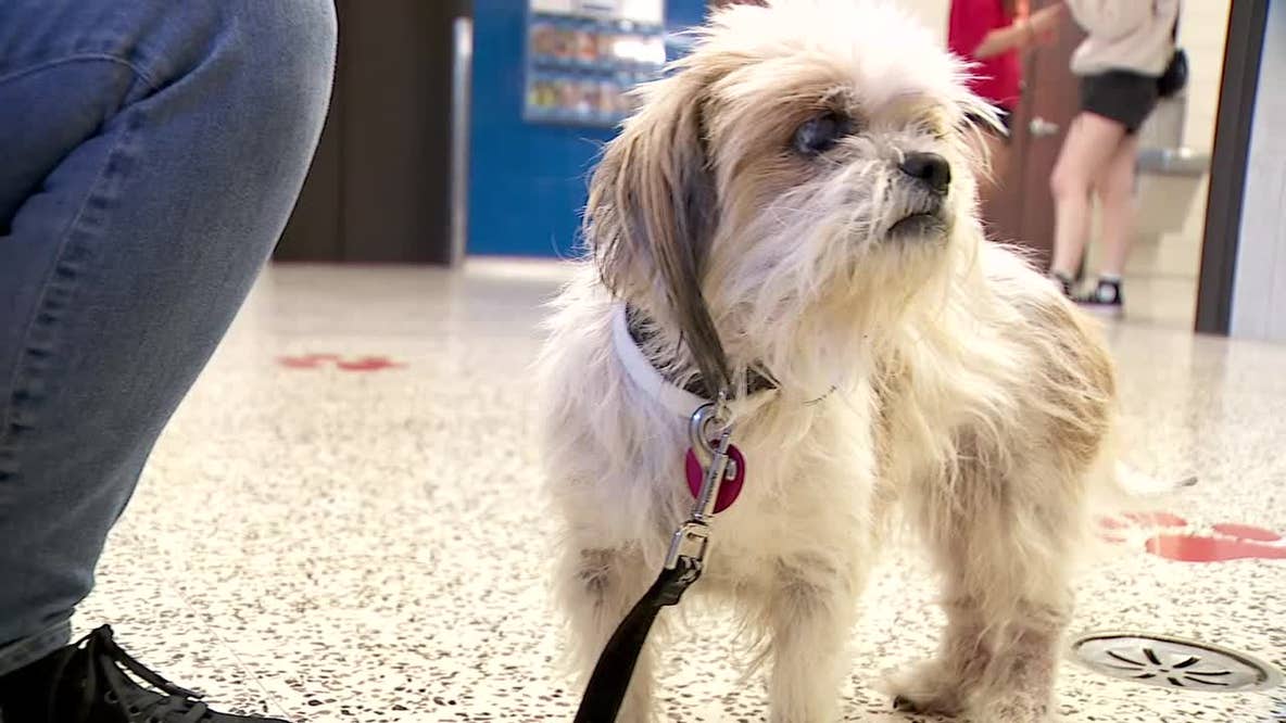 Over 150 animals perish in western Wisconsin barn fire