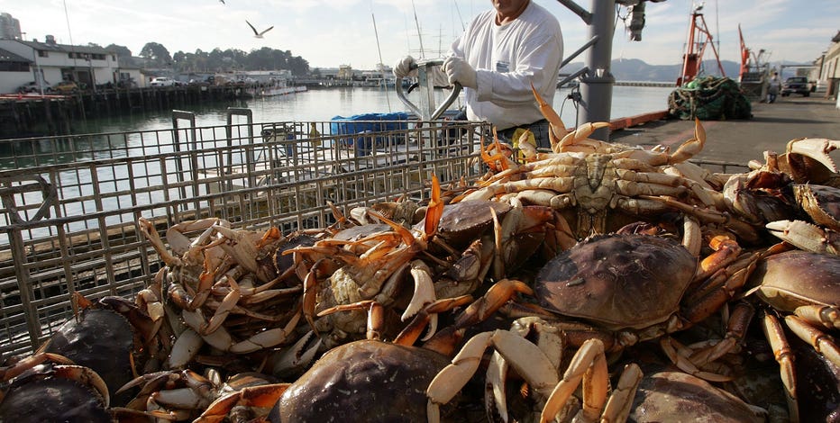 No crabs for holidays, Bay Area's dungeness crab season delayed once ...