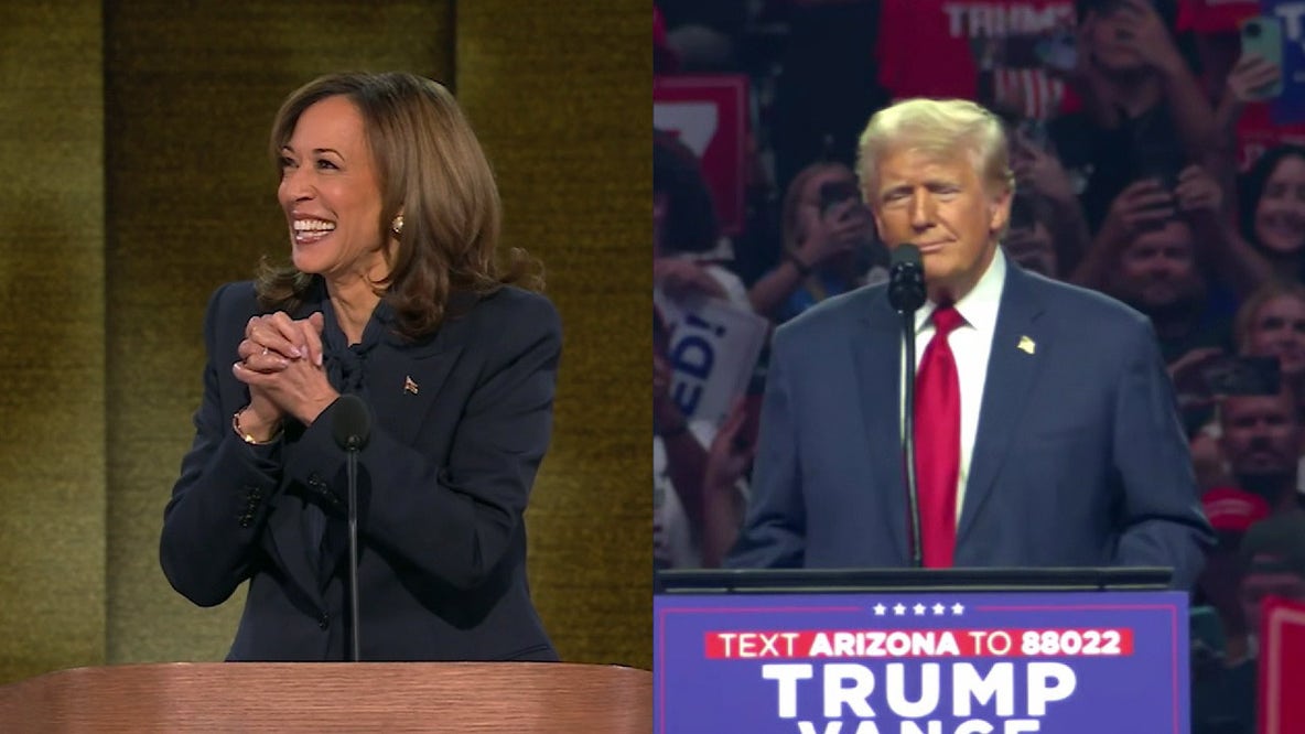 White House releases official portraits of President Biden, VP Harris ...