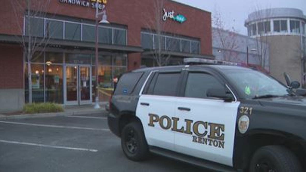 ‘Little Rascals’ bank robbers are 11, 12 and 16 years old