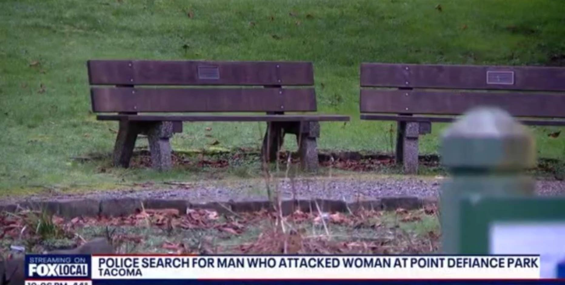 Point Defiance Park stabbing victim saved by man & woman who kicked ...