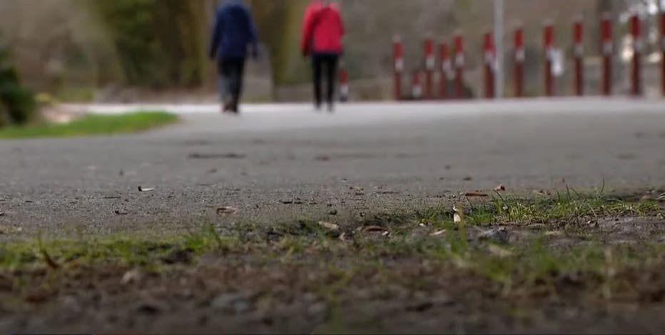 Manhunt continues for stranger accused of stabbing woman on Tacoma ...