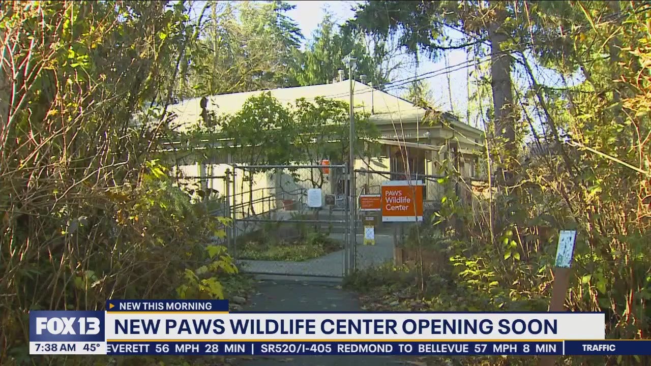 New PAWS Wildlife Center opening soon | FOX 13 Seattle