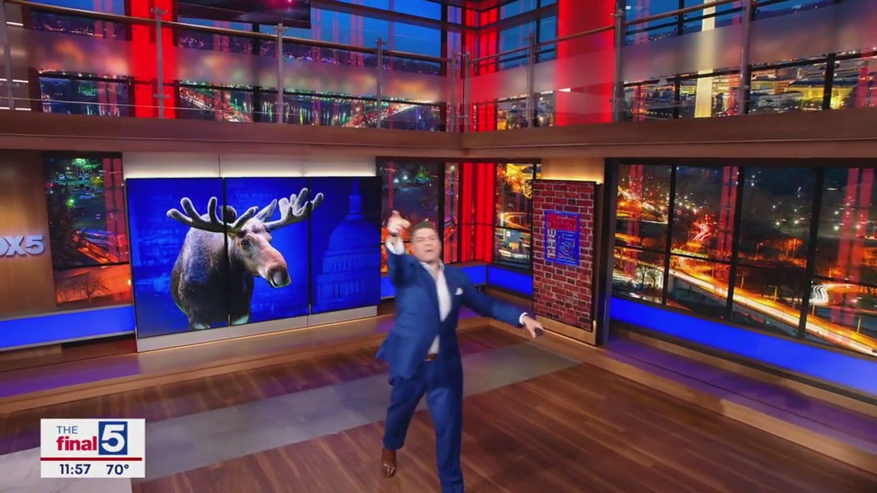 When is a moose not a moose? When it's an elk! | FOX 5 DC