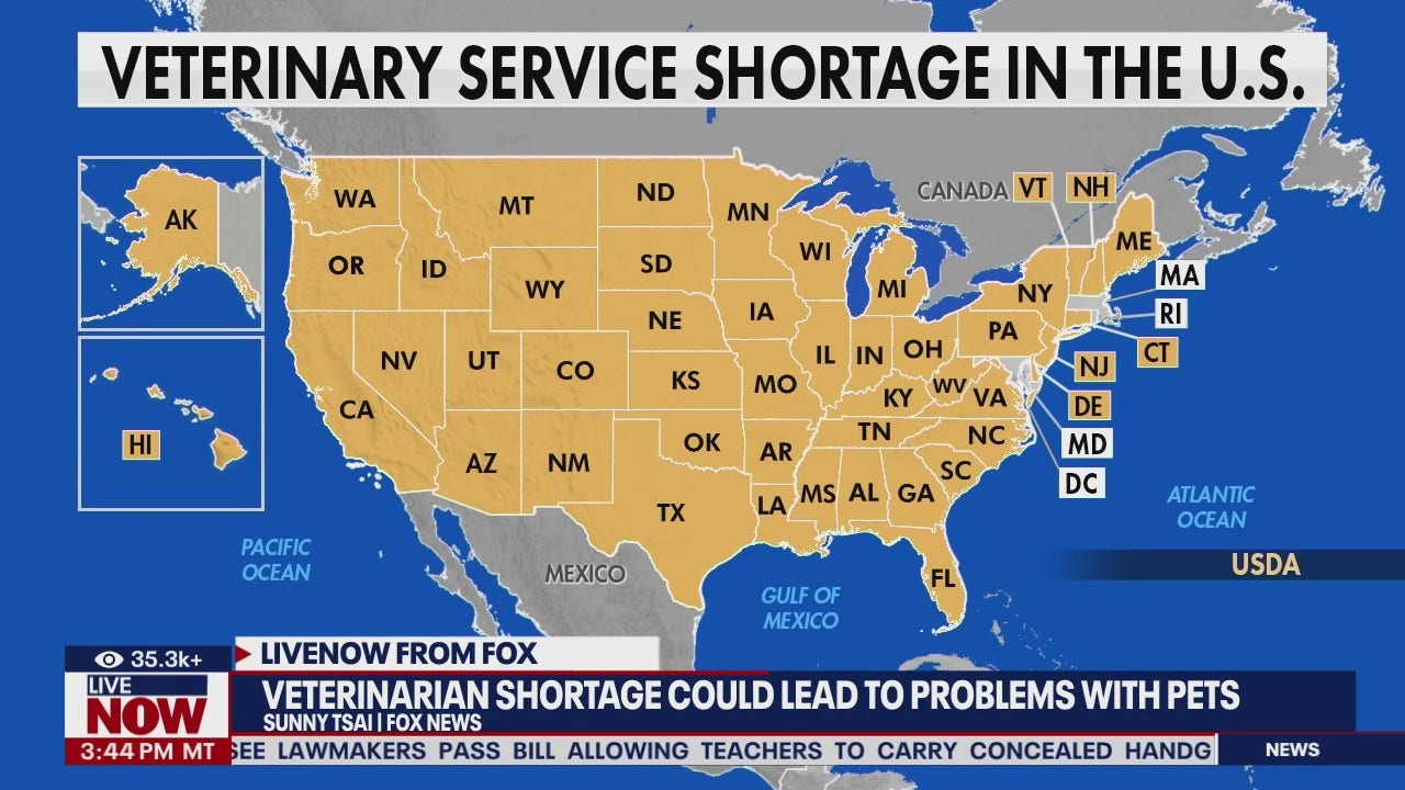 Veterinarian shortage could put pets at risk | LiveNOW from FOX