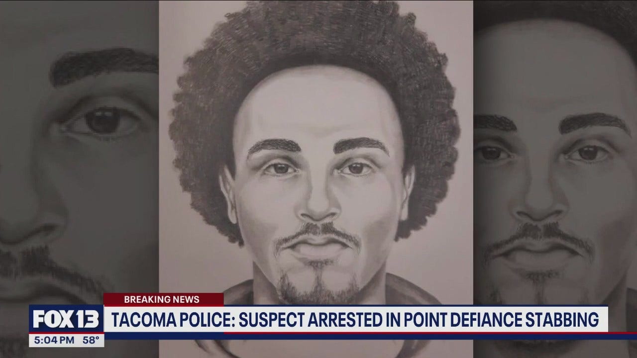 Suspect in Point Defiance stabbing arrested | FOX 13 Seattle