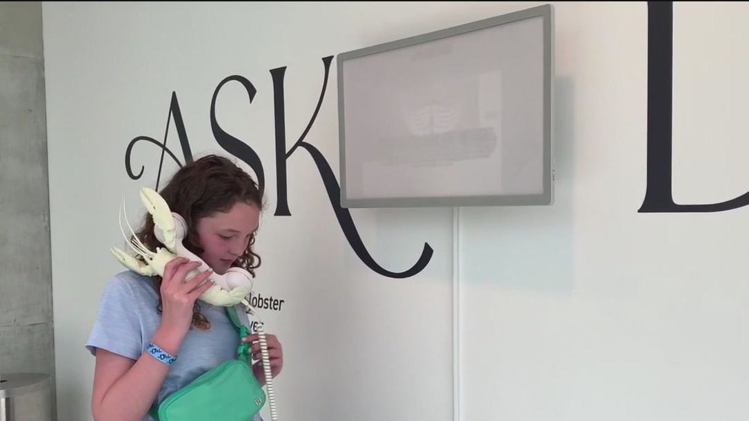 'Ask Dali' AI experience debuts at Dali Museum | FOX 13 Tampa Bay