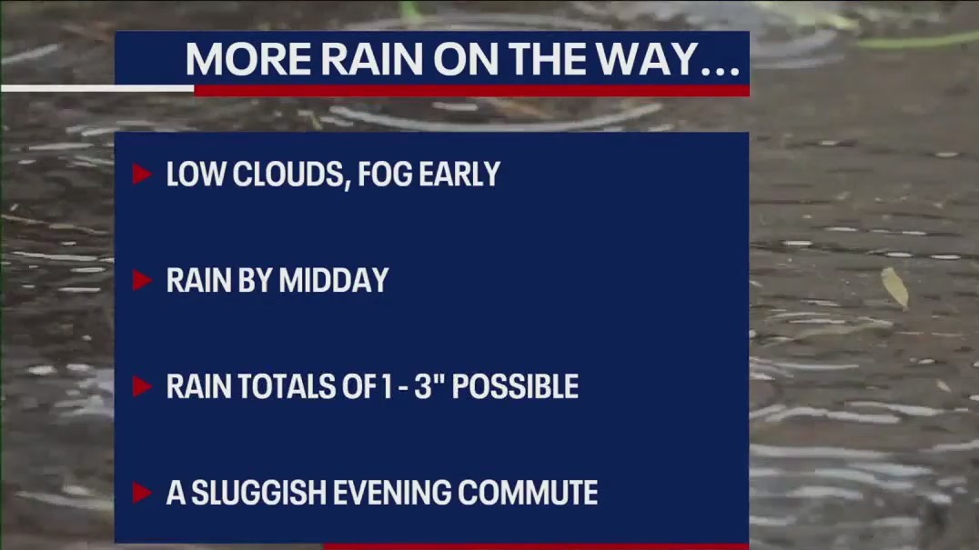 Weather Forecast | MY9 New Jersey