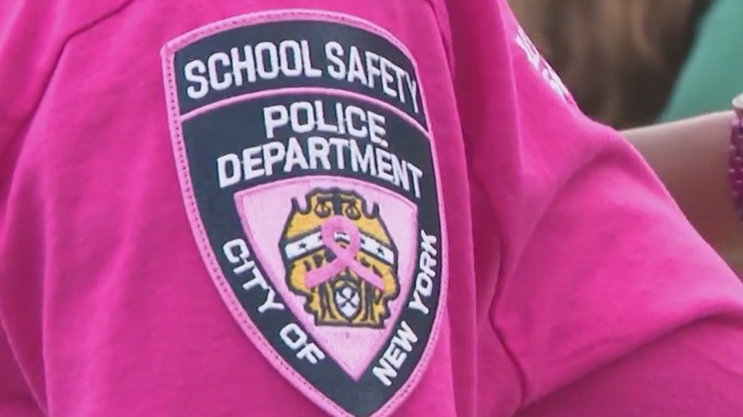 NYC schools put brakes on new safety agent recruitment | FOX 5 New York