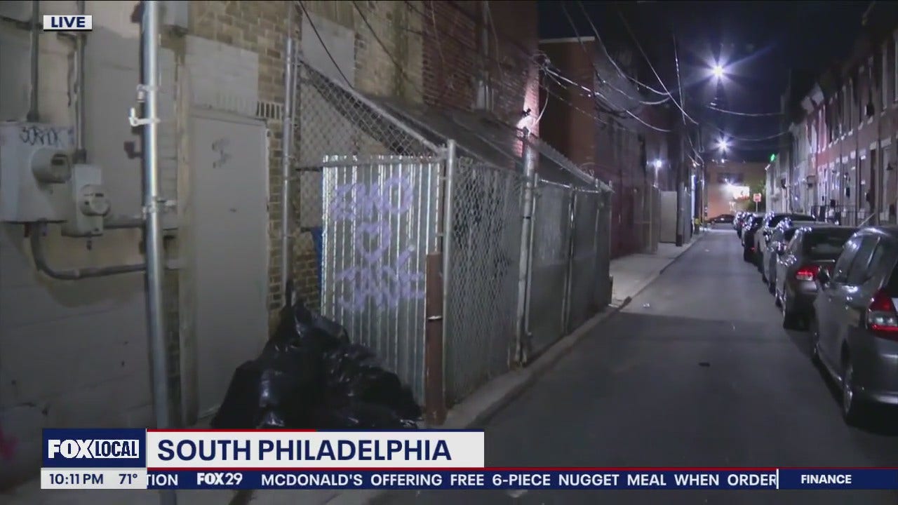 What is 'rat-jacking'? Rat infestation in South Philly costing ...