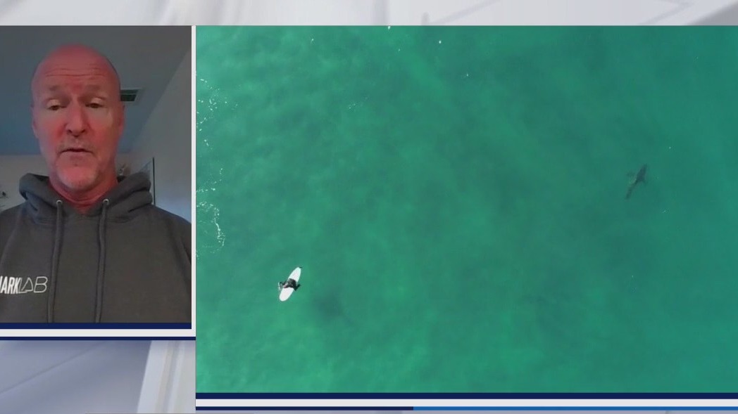 Orange County teen Bella Rasmussen makes history as first girl to score ...