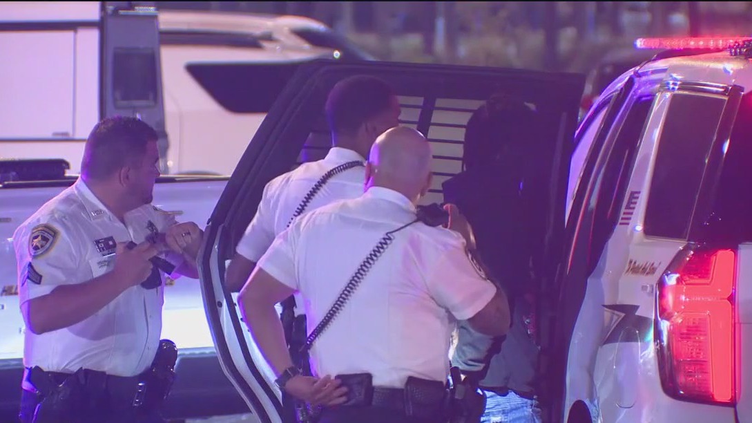 Dozens arrested after fight outside skating rink | FOX 13 Tampa Bay