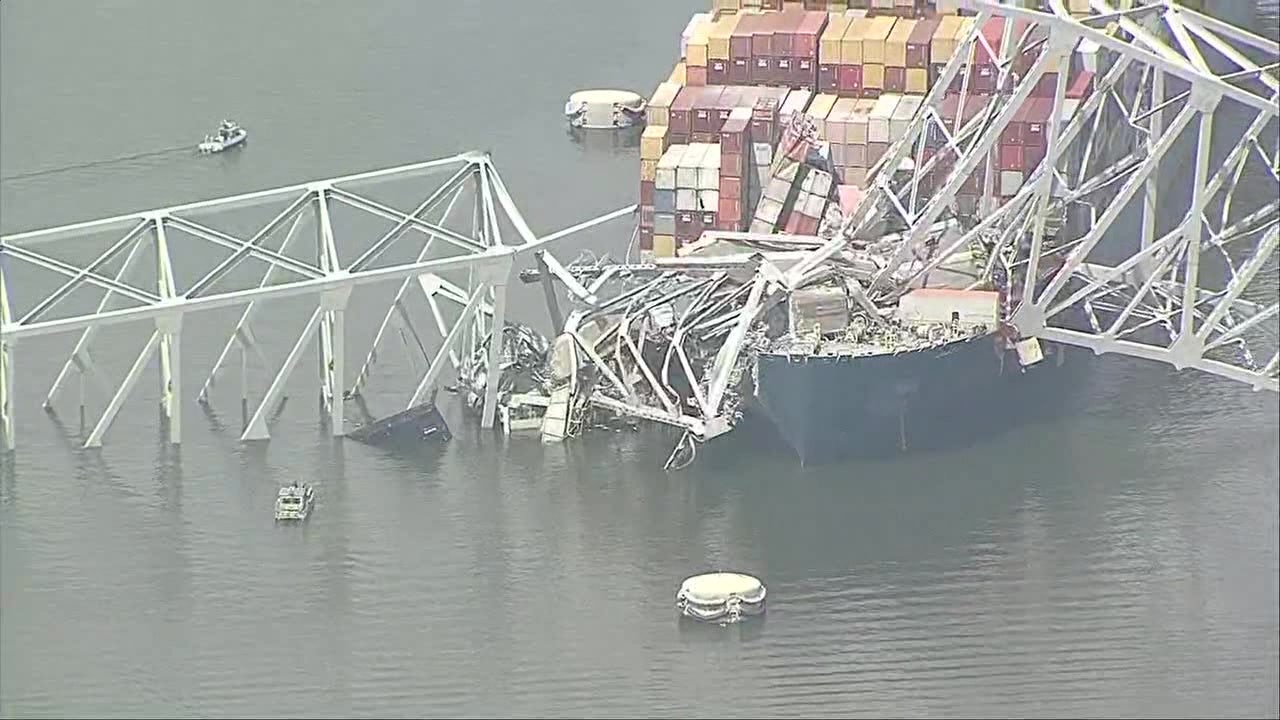 Harbor pilots react to Baltimore bridge collapse | FOX 13 Tampa Bay