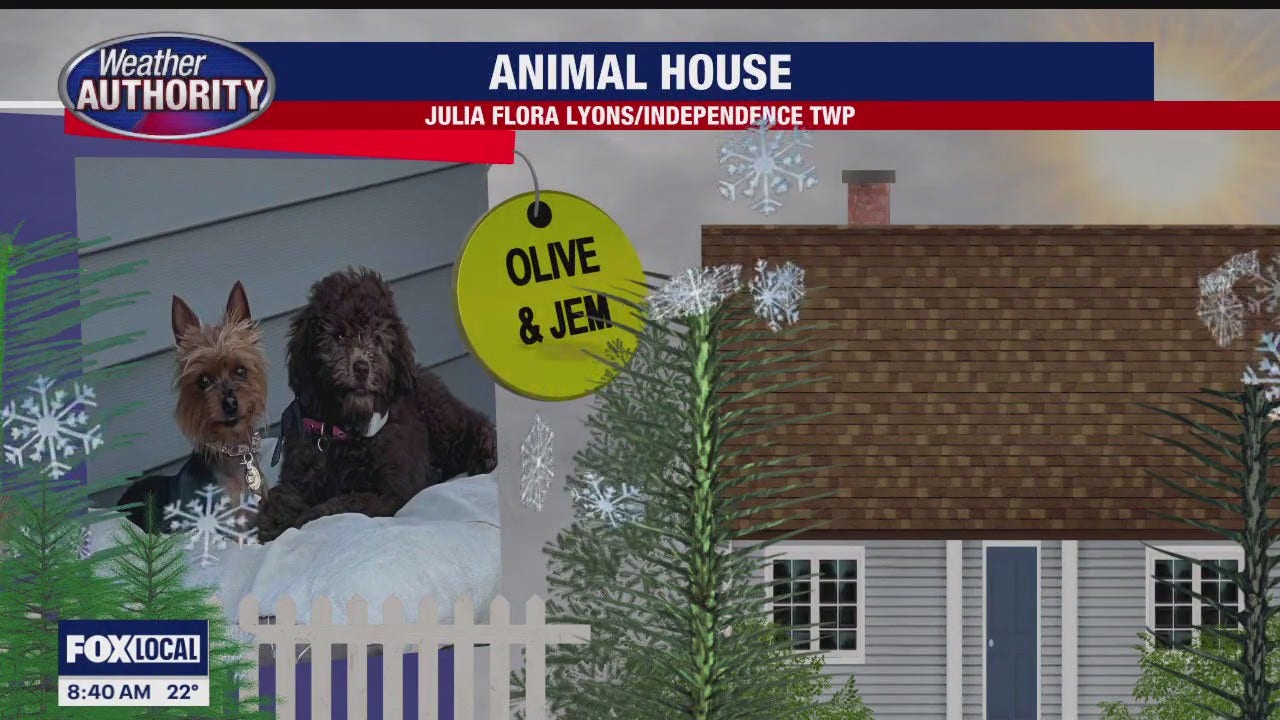 Meet Olive & Jem | FOX 2 Detroit