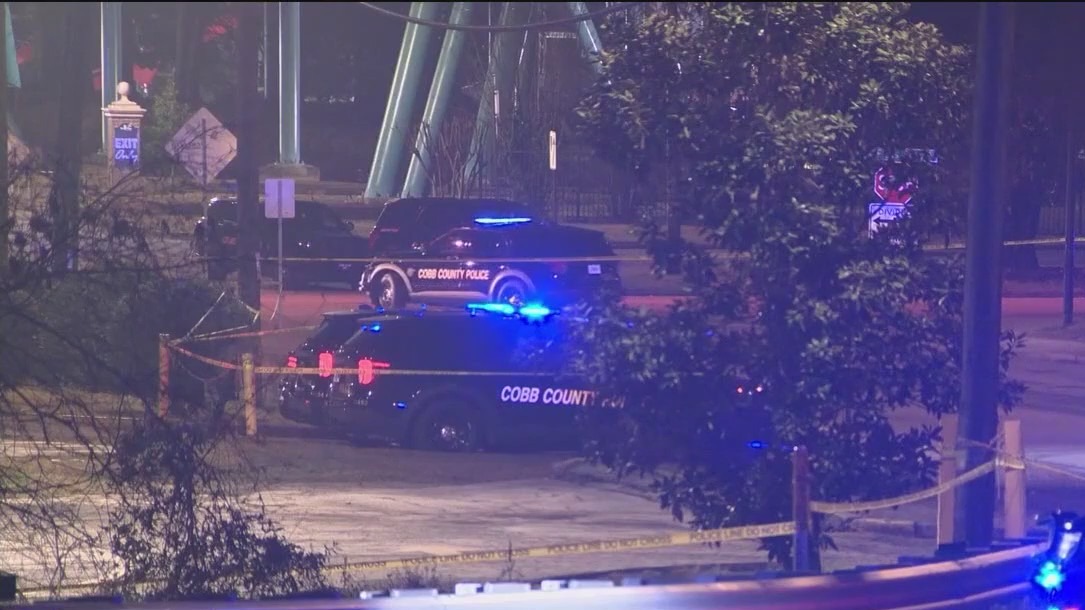 Was the Six Flags Over Georgia attack planned? | FOX 5 Atlanta