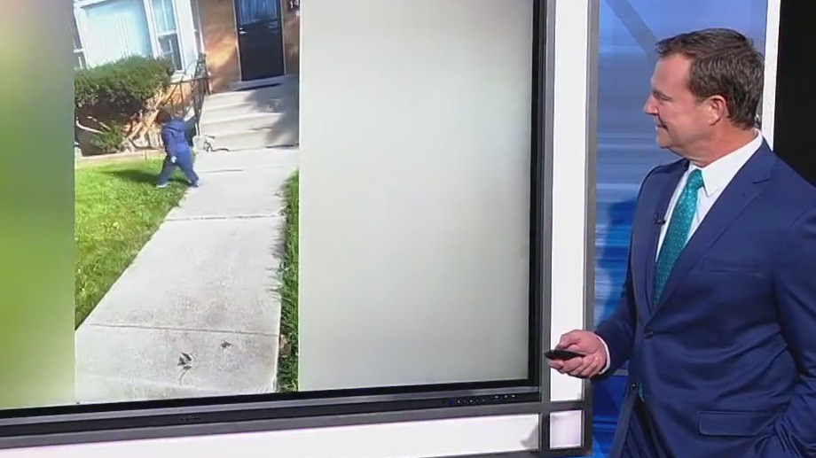 Cute baby attempts a front flip | FOX 5 Atlanta