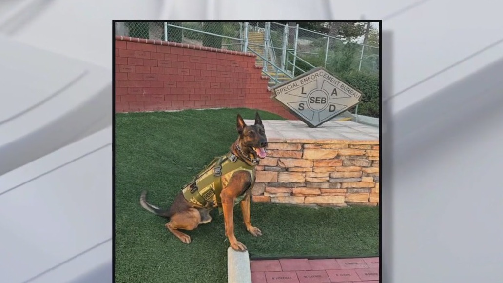 Los Angeles County Sheriff's Department | FOX 11 Los Angeles