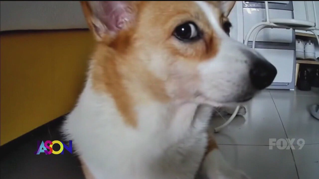 The Jason Show: Nov. 20, 2023 | FOX 9 Minneapolis-St. Paul