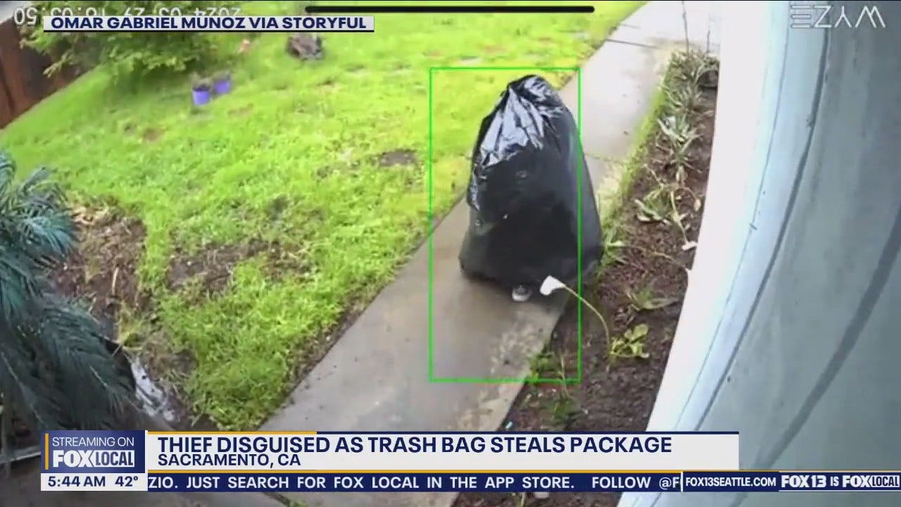 Thief disguised as trash bag steals package | FOX 13 Seattle