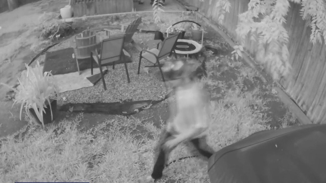 Houston Crime Wave Of Break Ins Hits Quiet Neighborhood Residents