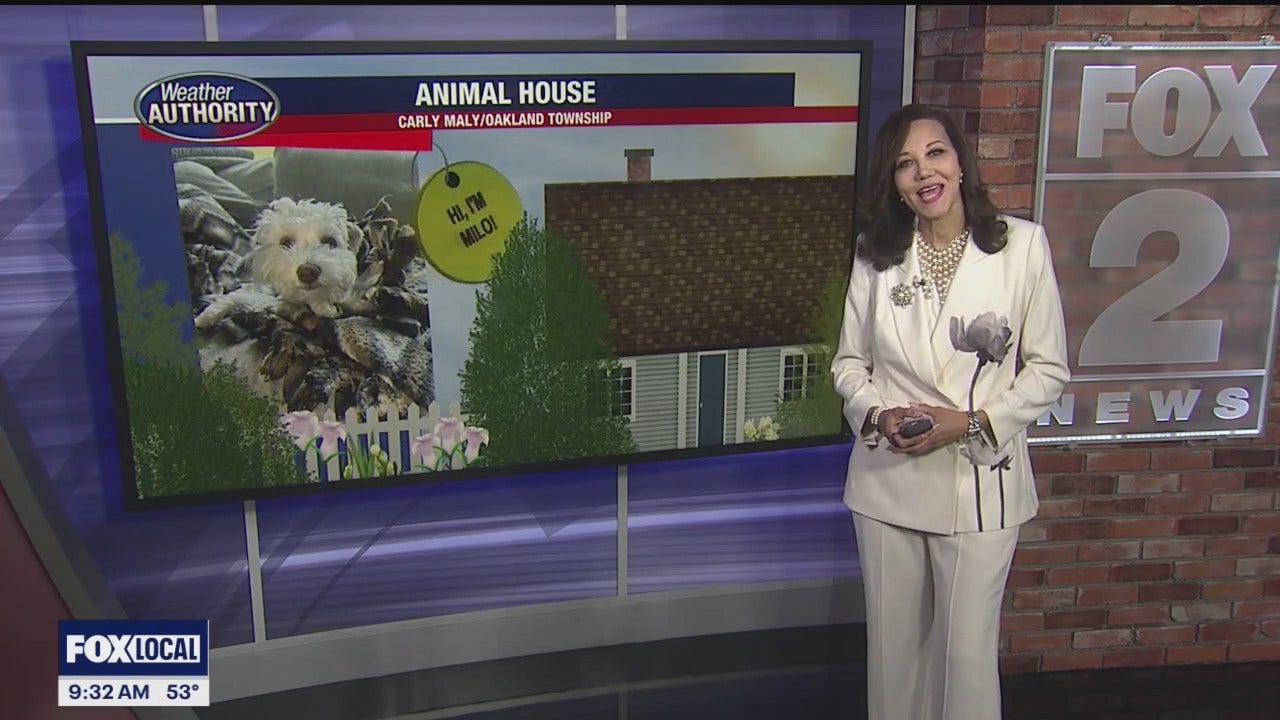 Welcome Milo | FOX 2 Detroit