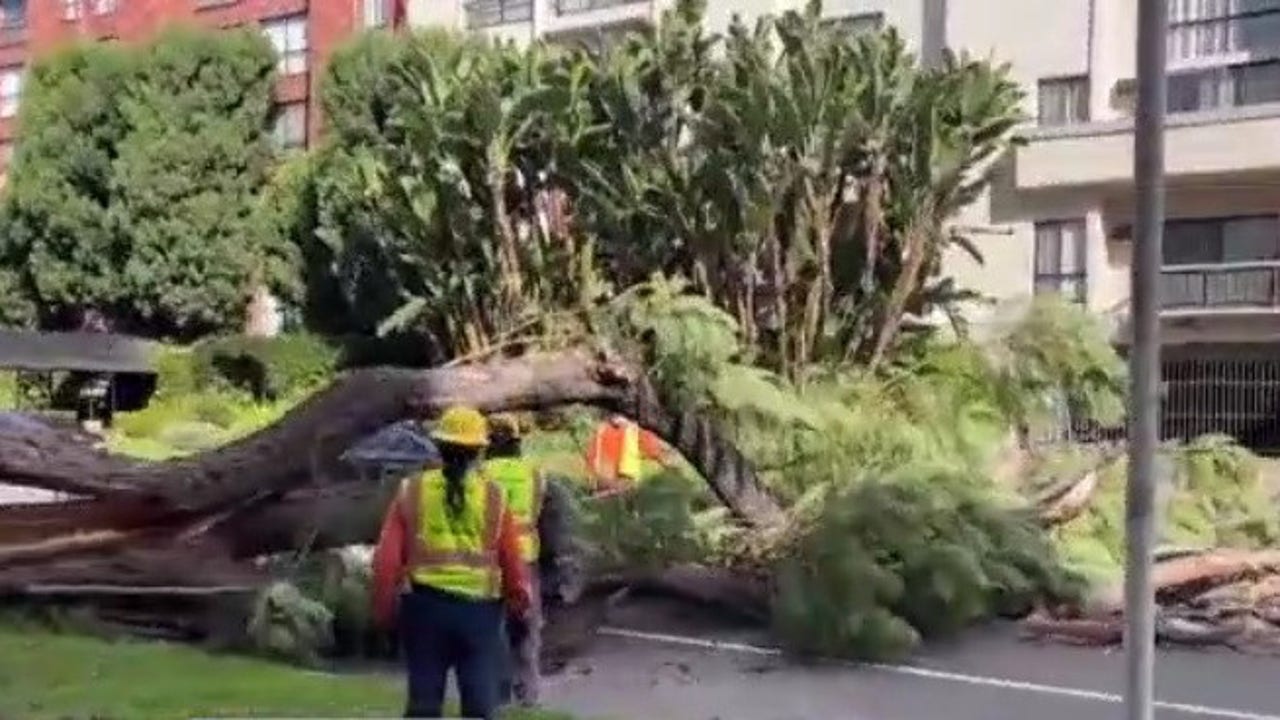 Strong winds batter SoCal neighborhoods | FOX 11 Los Angeles